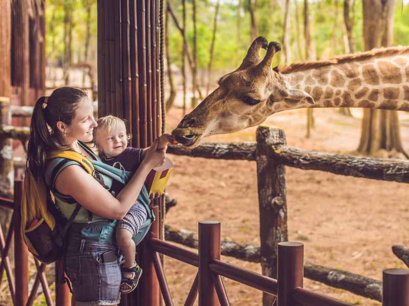 Zoo World Panama City Beach | By The Sea Resorts Panama City Beach, Florida